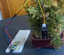 Iot Soil Moisture Monitor With Raspberry Pi Pico W Blynk