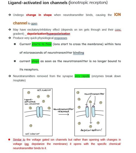 Pl3102 Nus Notes And Textbooks Hobbies And Toys Books And Magazines Assessment Books On Carousell