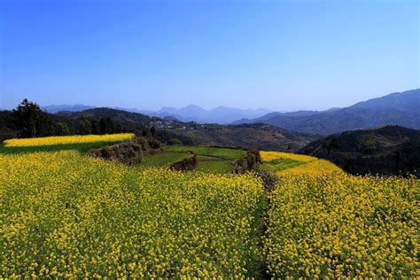 永嘉郑山风光 中关村在线摄影论坛