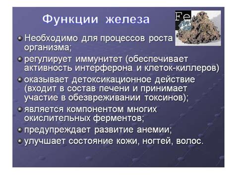 Водно-минеральный обмен - презентация онлайн