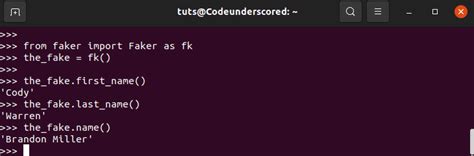 How To Use Faker In Django Code Underscored