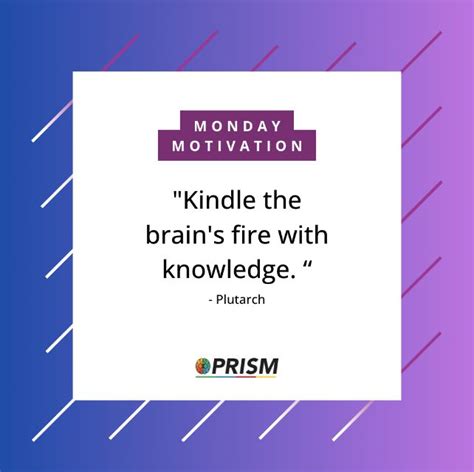 Prism Brain Mapping On Linkedin Curiosity Knowledge Curiosity Knowledgeispower