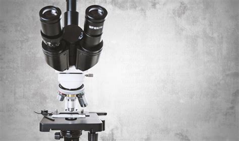 Tendon Xanthomas Xanthelasma