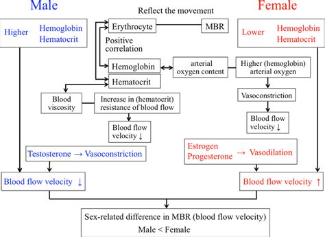 A Schematic Diagram To Present The Hypothesis Download Scientific