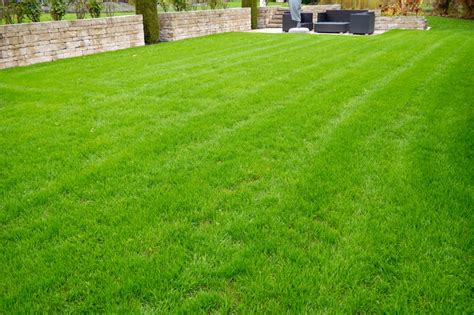 뒤러의 잔디밭 3space Magazine