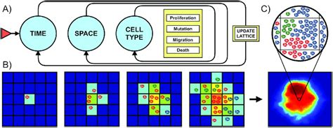 Algorithm A Basic Algorithm For Implementation Purposes