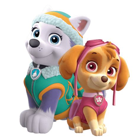 Paw Patrol Skye Everest Png Images And Photos Finder Images And Photos Finder