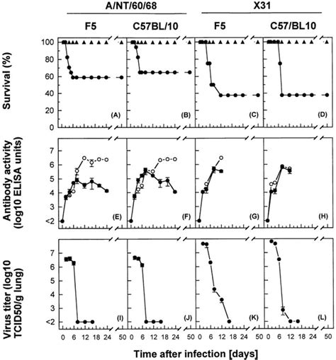 Protection Of Mice Against Influenza A Virus Infection Was Observed By