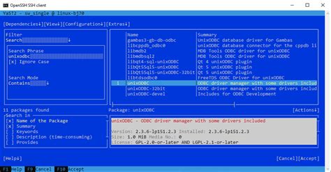 connect to data lake relational engine using the odbc driver sap tutorials