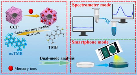 Integrated Design Of A Dual Mode Colorimetric Sensor Driven By Enzyme Like Activity Regulation
