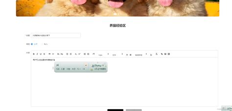 Django的猫咪交流平台的设计与实现程序开题报告猫咪web网站设计思路 Csdn博客