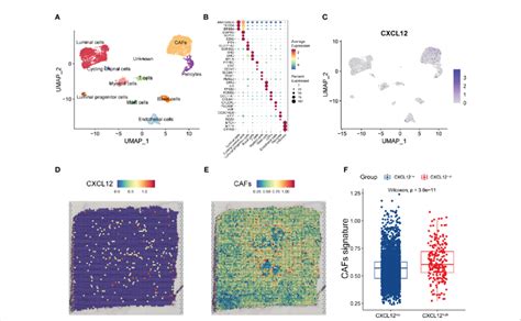 Combined Analysis Of Snrna Seq And Spatial Transcriptomics Reveals The Download Scientific