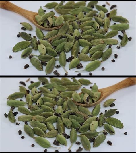 Manual Заболяванията започват от червата Растението може да успокои дори и най чувствителния