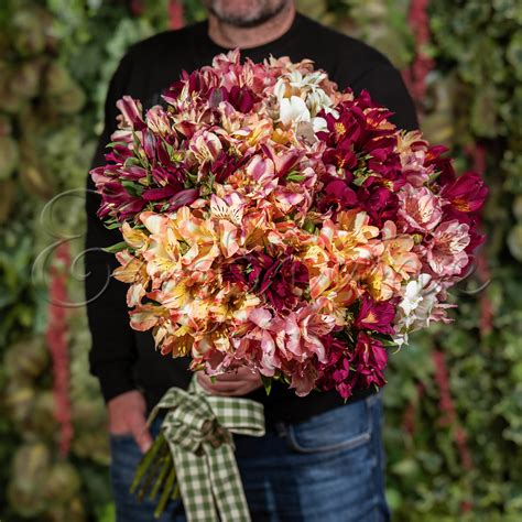 Картичка Мечета