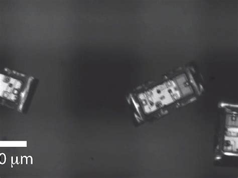 Solar Powered Autonomous Microrobots Pack A Digital Brain For Hands