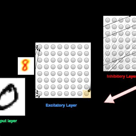 Spiking Neural Network Architecture From 10 Download Scientific