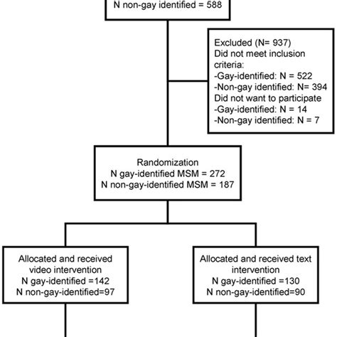 Randomization Process Download Scientific Diagram