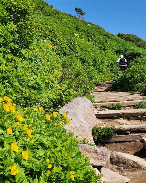 黒岳 層雲峡ビジターセンター
