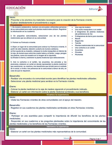 Planeación De Marzo Primer Grado De Primaria 2024 Nem