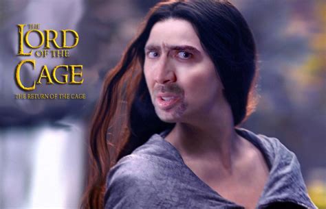 100 Nicolas Cage Meme Wallpaper