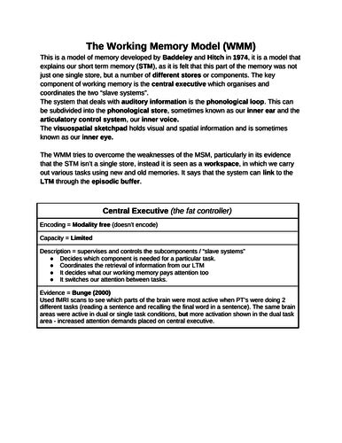 Alevel Psychology The Working Memory Model Explanation Sheet Teaching Resources