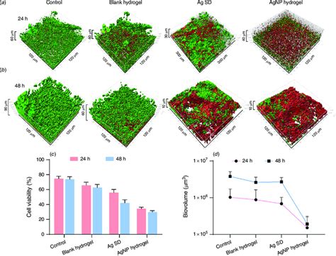 Three Dimensional 3 D Fluorescence Reconstruction Of Polymicrobial