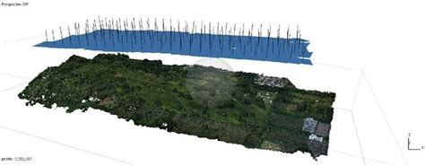 Build Dense Cloud Process Download Scientific Diagram