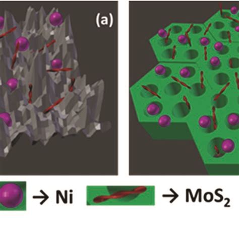 Llustrating The Ni And Mos2 Active Phase Distribution Over A Download Scientific Diagram