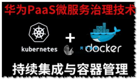 华为paas微服务治理技术 K8s集群实战docker容器化持续集成与容器管理 天下无鱼 资源博客