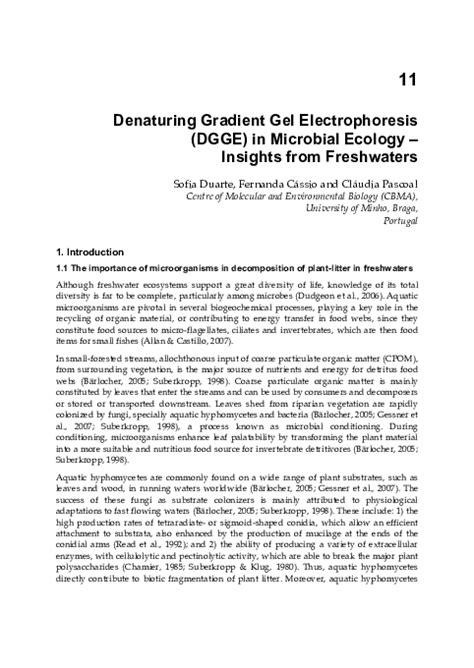 Pdf Denaturing Gradient Gel Electrophoresis Dgge Screening Of