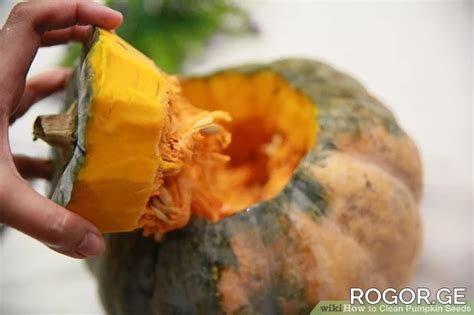 როგორ გავასუფთაოთ გოგრის თესლი Rogor Ge