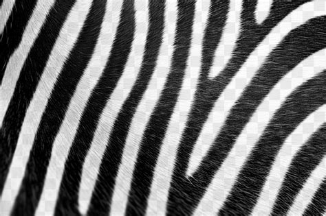 Skin Texture Images Free Vector PNG PSD Background Texture Photos Rawpixel