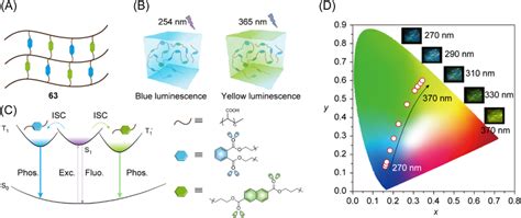 A Network Structure Of Multi‐component Copolymer 63 By Radical Download Scientific Diagram