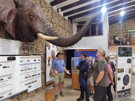 아도 코끼리 국립공원 반나절 사파리 Getyourguide