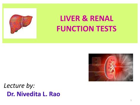 PPT Liver RENAL FUNCTION TESTS PowerPoint Presentation ID 9627439