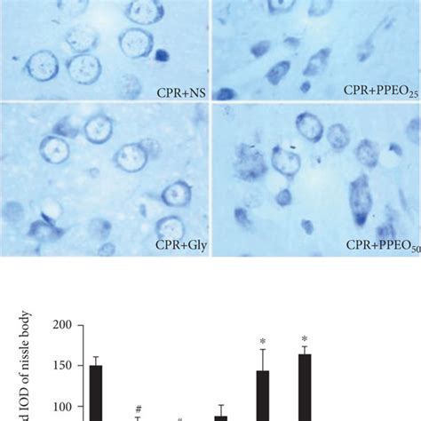 A Neurological Function Scores At 24 H After Cacpr All Datas Were