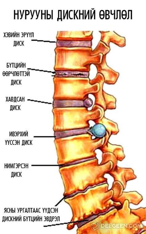 Урт наслахыг хүсэж байвал энэ дасгалыг өдөр алгасалгүй тогтмол хийгээрэй Энэ бол эрүүл байх