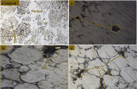 opm micrographs of control at 900 °c and tinial sic at a 1 wt b 3
