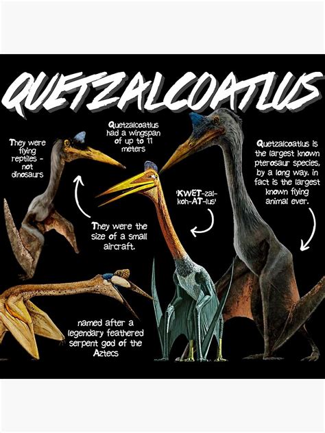 Quetzalcoatlus Dinosaur Facts