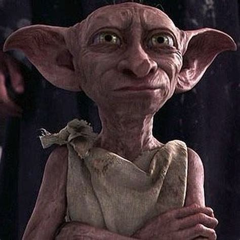 집요 정도비 Youtube