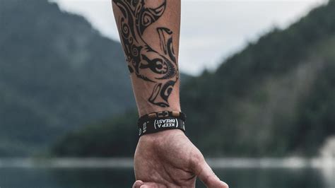 How To Remove A Palm Tree Without Killing It How To Remove A Palm Tree Without Killing It