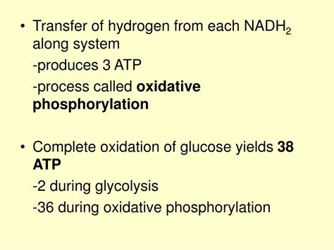 PPT The Krebs Cycle PowerPoint Presentation Free Download ID