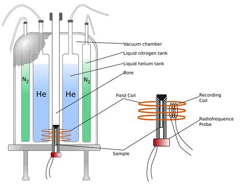 How Does An Nmr Spectrometer Work At Keisha Burton Blog