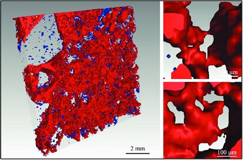 Three Dimensional Pore Distribution Of Postmortem Corundum Mullite Download Scientific Diagram