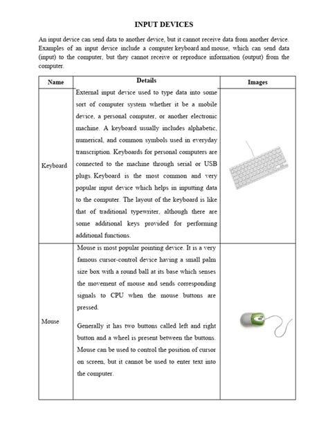 input and output devices pdf