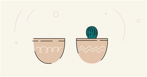 Procidentia Or Prolapsed Uterus Symptoms Causes Treatment