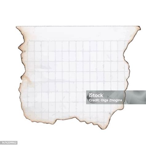 스크랩북 디자인을 위해 가장자리가 그을린 셀의 종이 조각 0명에 대한 스톡 벡터 아트 및 기타 이미지 0명 갈기갈기 찢어진