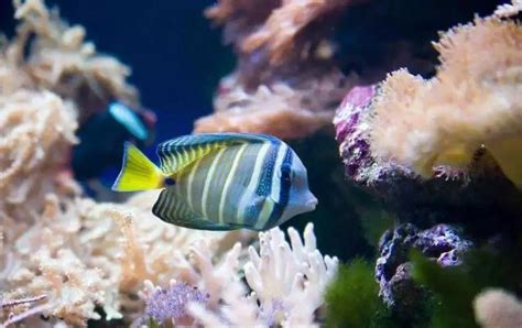 如何養水？ 每日頭條