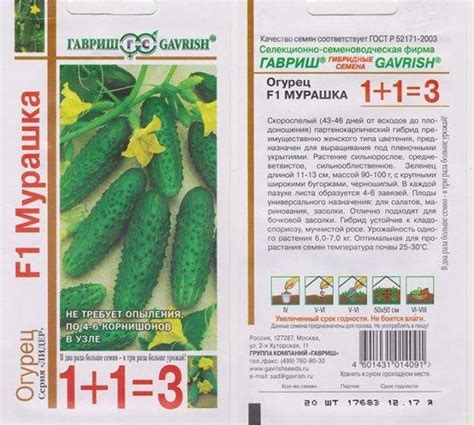 Огурцы мурашка: описание сорта, фото, отзывы, инструкция по посадке и ...