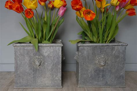 Decorative Lead Planters At James Daulton Blog